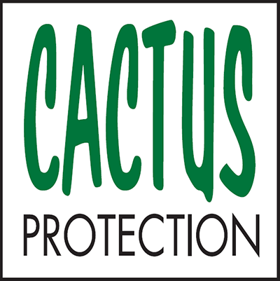 Cactus Protection : télésurveillance, vidéo, alarme à Lamorlaye